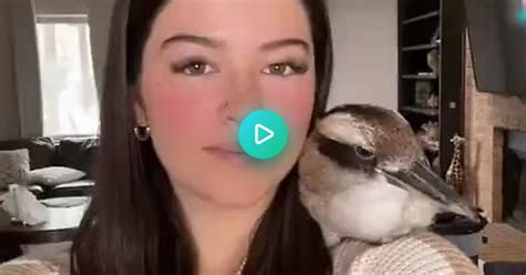 Good Morning Chuckles Album On Imgur