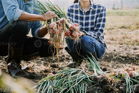 Agriculturist Utilize The Core Data Network In The Internet From The Mobile To Validate Test