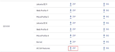 Open Liberty｜linux サーバに Open Liberty をインストールして、アプリケーションサーバを作成、設定する方法 技術ドットコム