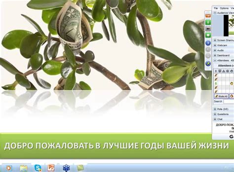 Ламинин Инструкция Противопоказания - electrovrn