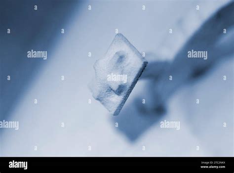 Objects Printed On A 3d Printer From Powdered Polyamide Lying In White Polyamide Powder Models