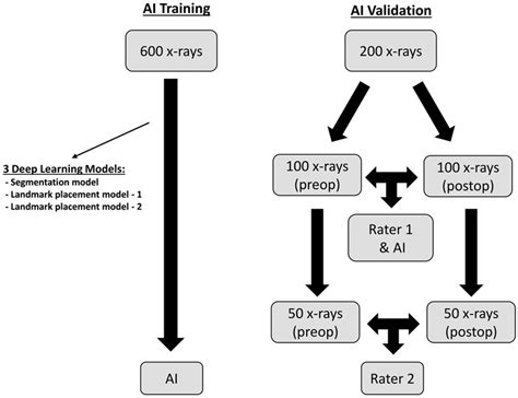 Flowchart Demonstrating The Ai Training And Validation Phases Download Scientific Diagram