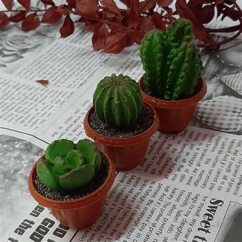قیمت و خرید گل مصنوعی مدل کاکتوس میناتوری مجموعه 3 عددی