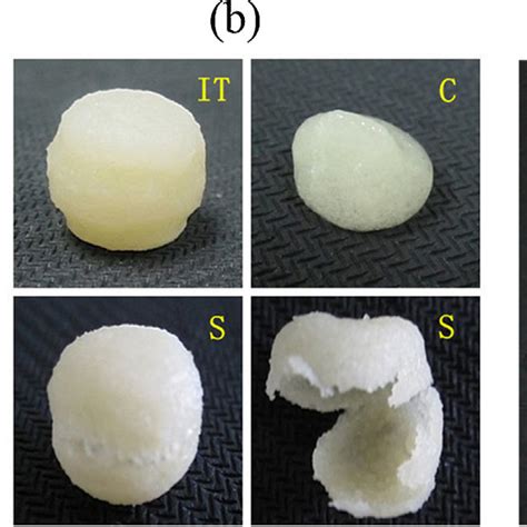 Photographs Of The Tablets A Surface View B Core Shell Structure Download Scientific