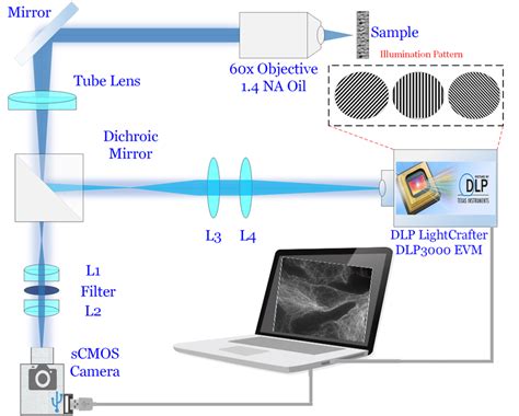 Schematic Diagram Of The Low Cost Dmd Based Sim Microscope Download