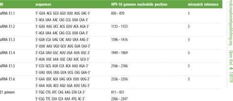 Short Interfering Rna Sirna Sequences Targeting Hpv 18 E1 Mrna