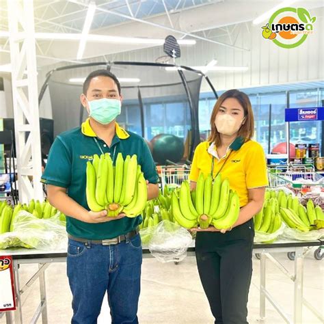 เกษตรดี ผลไม้นำเข้า เกรดพรีเมียม สด ใหม่ ใกล้บ้านคุณ Premiumfruits Added A เกษตรดี ผลไม้