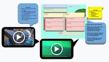 Writing Sea Turtles Step Up To Writing By Teachers Are The Leaders