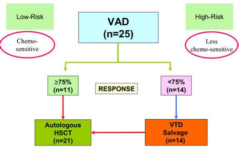 Treatment Algorithm Of The Staged Approach For Newly Diagnosed Download Scientific Diagram