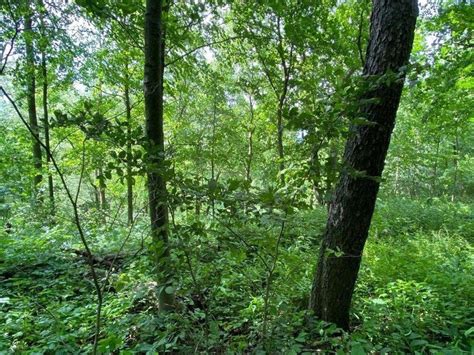 Brant County Gets More Than 194000 For Trail Projects Brantford