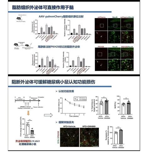 基于外泌体技术药物研发与投资合作研讨会苏创联国际名院名所成果转化与投资合作网络大会系列活动成功举办 南京市苏科智联科技产业发展有限公司