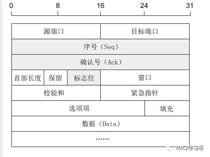 实战 C Socket详解与研究 墨天轮