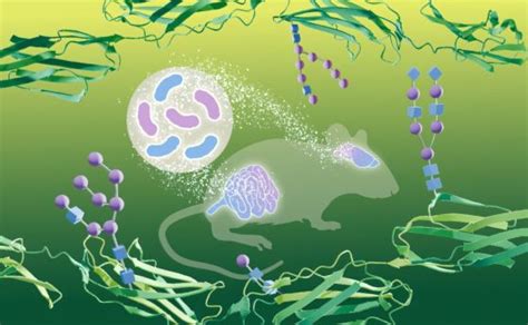 Медицински новини — Nauka Offnews Bg