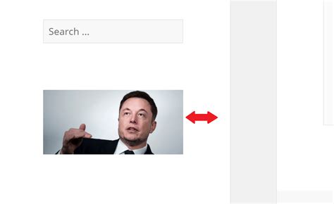 How To Remove The Image Border In WordPress Widgets NameHero Blog