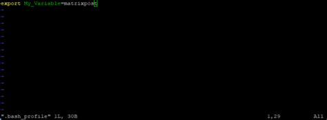 Enable Timestamps For Linux History Command