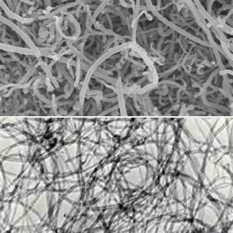 Multi Walled Carbon Nanotubes Zylab