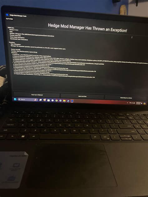 Hedge Mod Manager Crash R Sonicthehedgehog