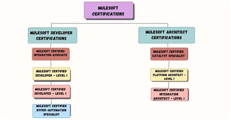 Delve Deep Into Mulesoft Certifications To Step Forward In The