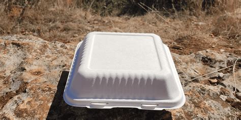 La Bagasse Une Alternative éco Responsable Au Plastique
