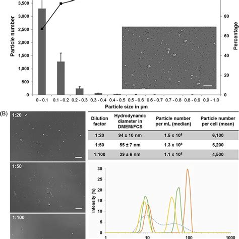 Determination Of Particle Size And Number A Depiction Of The Number