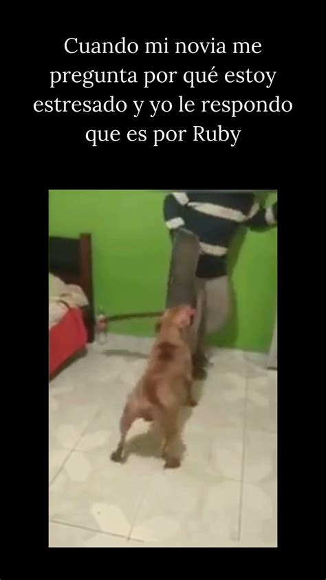 Hovocodex Hovocodex • Instagram Photos And Videos