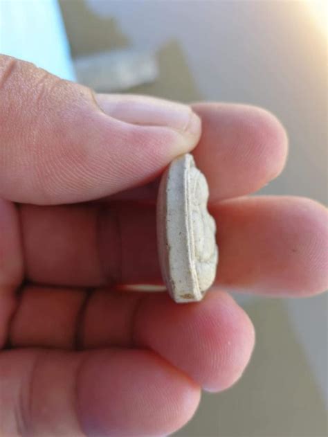 พระปืดตาหลวงพ่อคล้อยวัดถ้ำเขาเงิน Ennxo