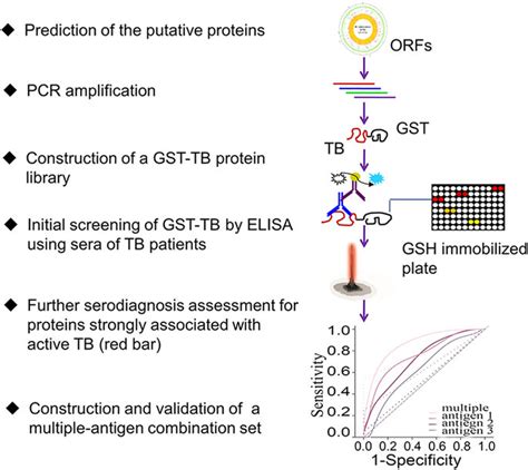 Overview Of The Experimental Design The Putative Proteins Were