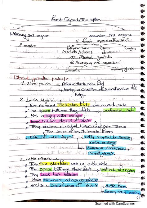 1st Lecture Female Genital Histology Pathology Studocu