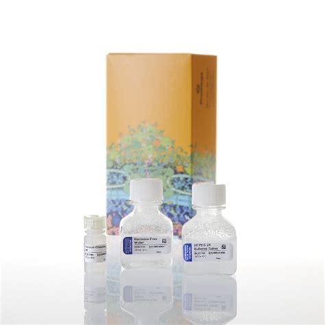 Profection Mammalian Transfection System Calcium Phosphate Nerliens