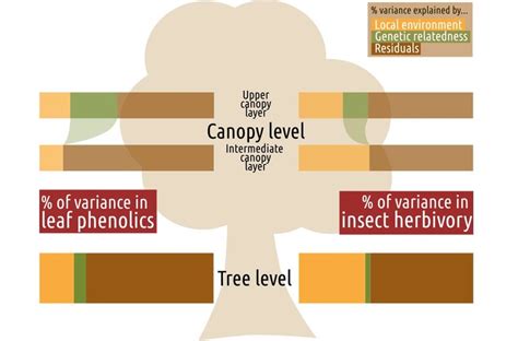 Summary Of The Variance Partitioning Among Random Effects And Model