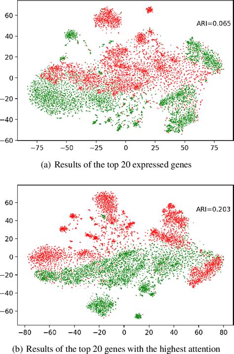 Figure C 2 From Large Scale Cell Representation Learning Via Divide And Conquer Contrastive