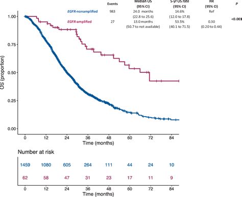 Figure 1 From Egfr Amplification In Metastatic Colorectal Cancer