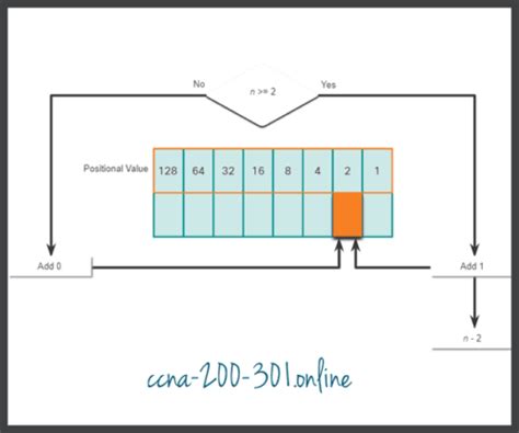 Binary Number System Ccna 200 301