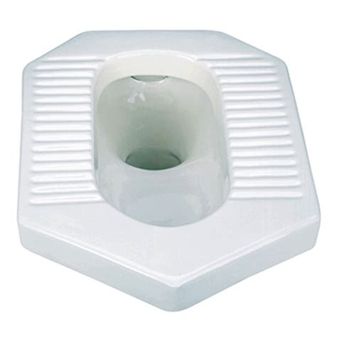 Sharing Squat Toilet Telegraph
