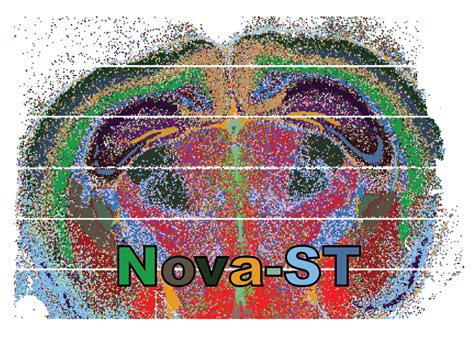 Nova St