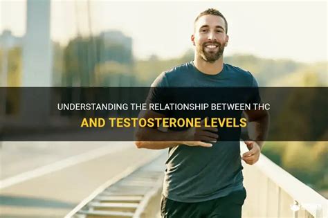 Understanding The Relationship Between Thc And Testosterone Levels Medshun