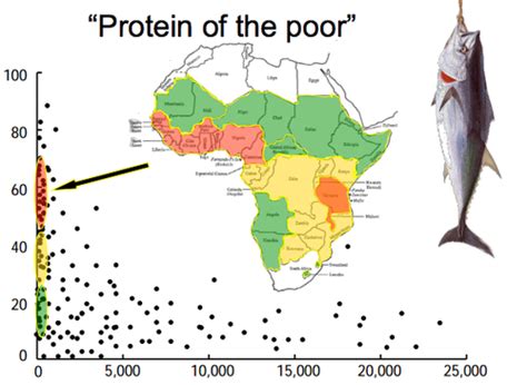 Espm Wildlife Utilization And Economies Flashcards Quizlet