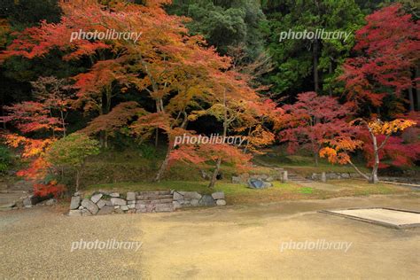 Photolibrary