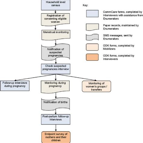 Diagrammatic Representation Of Women S Interactions With The Data Download Scientific Diagram