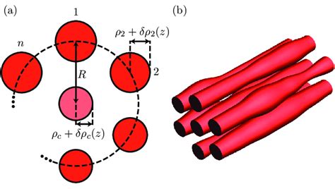A Cyclic Symmetric Multi Core Fiber Cross Section And B Sketch For Download Scientific