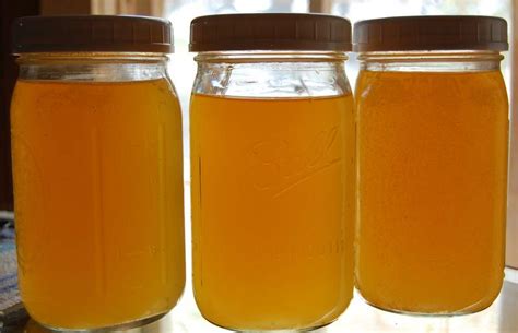 Oxidation Fermentation And Tea • Boston Teawrights