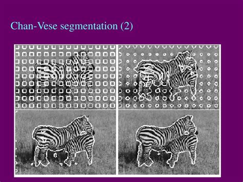 Ppt Integrated Active Contours For Texture Segmentation Powerpoint Presentation Id1033825