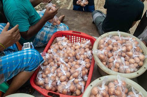 Dvb ကြက်ဥ ၆ လုံးကို ကျပ် ၁၀၀၀ နှုန်းဖြင့် နွယ်အေးဗလီလူမှုရေးအသင်းက ရောင်းချပေးနေ ဓာတ်ပုံ