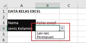 Cara Membuat Dropdown List Dengan Data Validation Excel