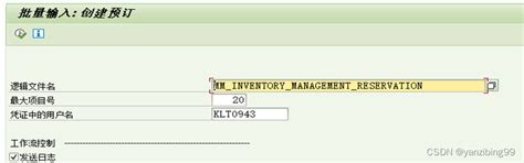 Sap 库存管理 预留 Sap 预留 Csdn博客