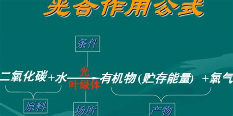 光合作用过程图解 360新知
