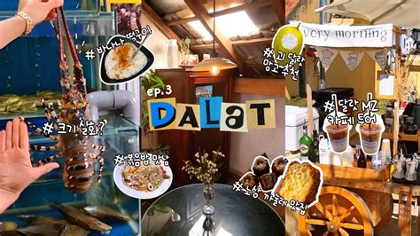 베트남 달랏 여행 Vlog Ep3ㅣ달랏 2주 살기ㅣ자매 현실 여행ㅣmz카페 투어ㅣ바나나 떡구이ㅣ해산물 맛집ㅣ인스타 갬성 카페ㅣ노상 까눌레ㅣ핑크 성당 Youtube