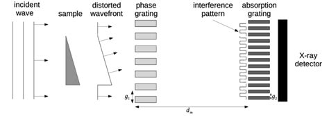 Sketch Of The Grating Interferometer A Phase Grating And An Absorption Download Scientific
