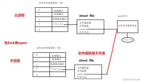 Linux进程打开文件（先open再fork、先fork再open）linux 父进程以写模式打开文件后fork Csdn博客