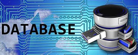 Zeitstempel Mittels Sql Stored Procedure Und Dynamischer